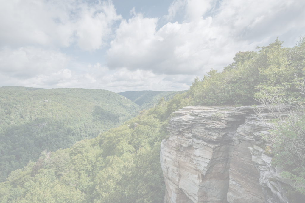 Party Leadership - West Virginia GOP